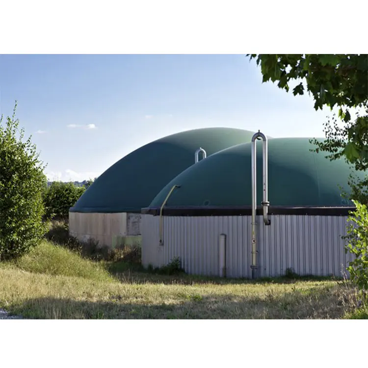 Tank Cstr Biogas Anaerobic Reactor/digester/producer Plant - Buy ...