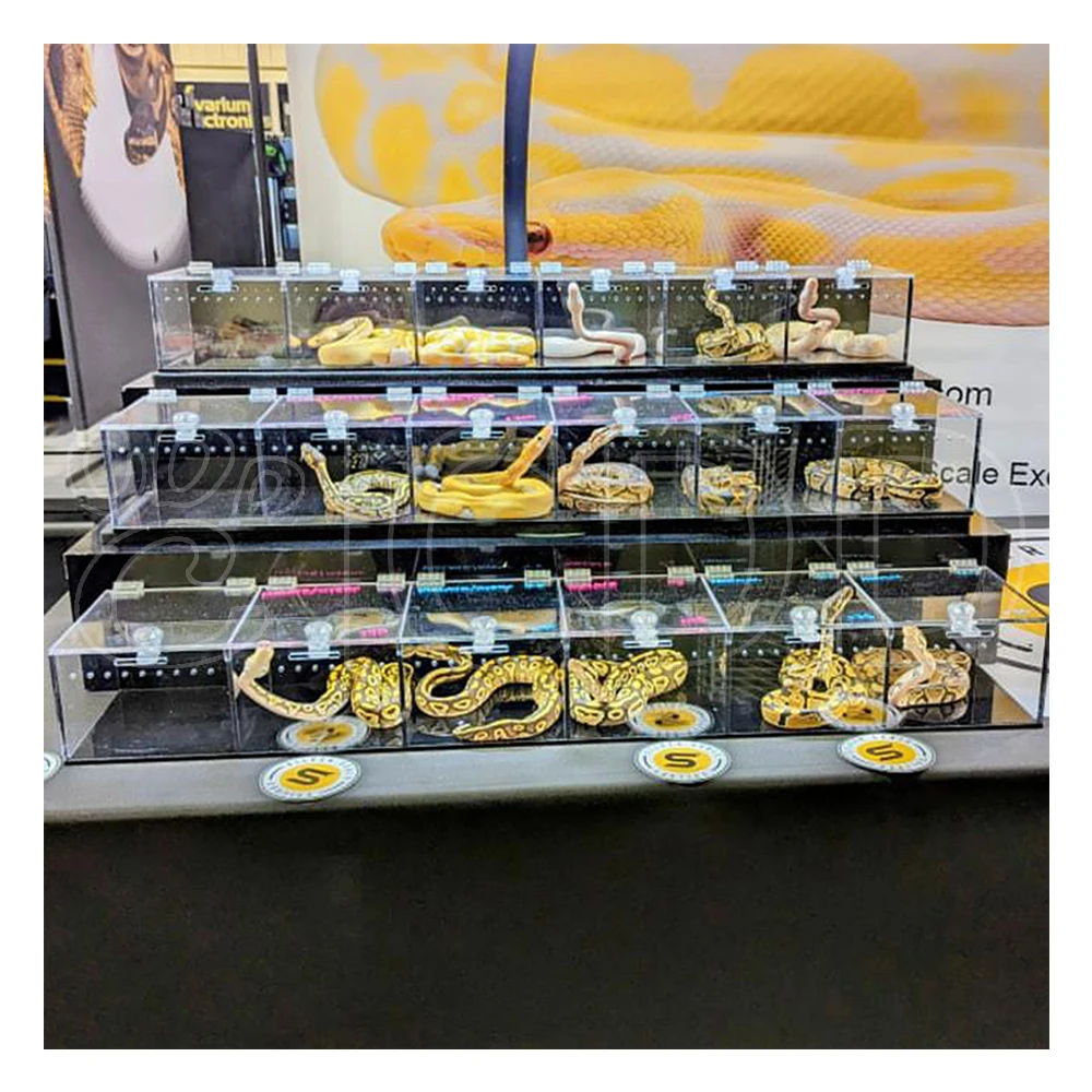 Custom 3 Shelves Table Top Acrylic Snake Gecko Display Cases