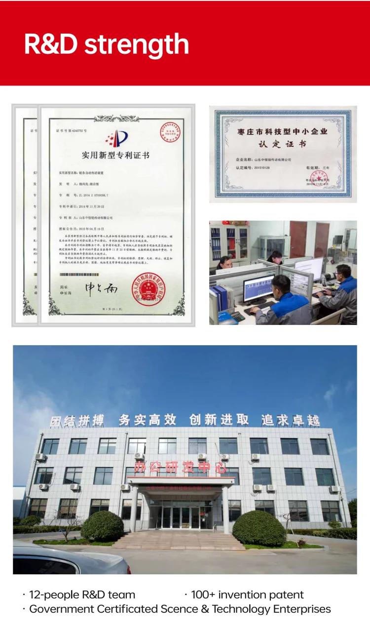 ZOHEN Roller Chains - Durable, High-Quality, and Affordable