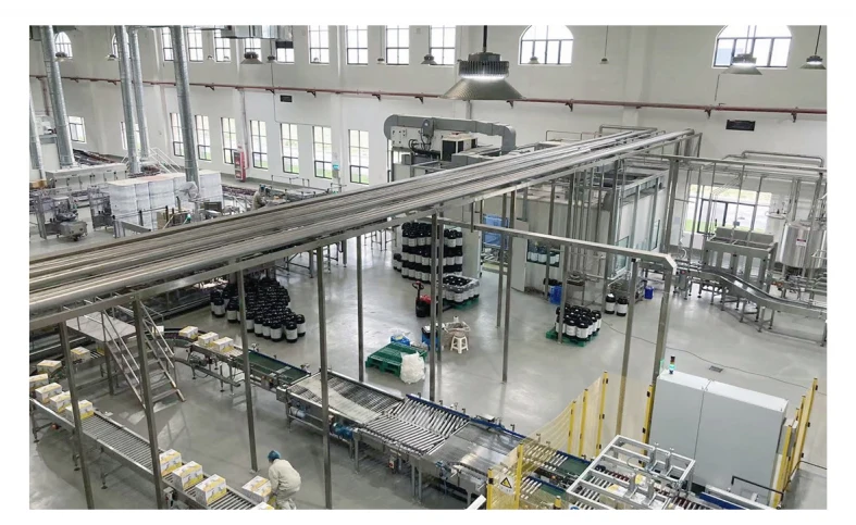 TALOS T-Keg One Way 30l Plastic Beer Keg - Durable & Transparent