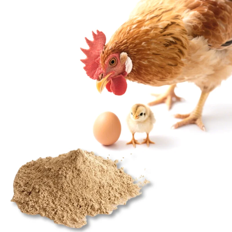 FAMI-QS/ISO/GMP Broiler Growth Chick Hatching Feed Additive Vitamin ...
