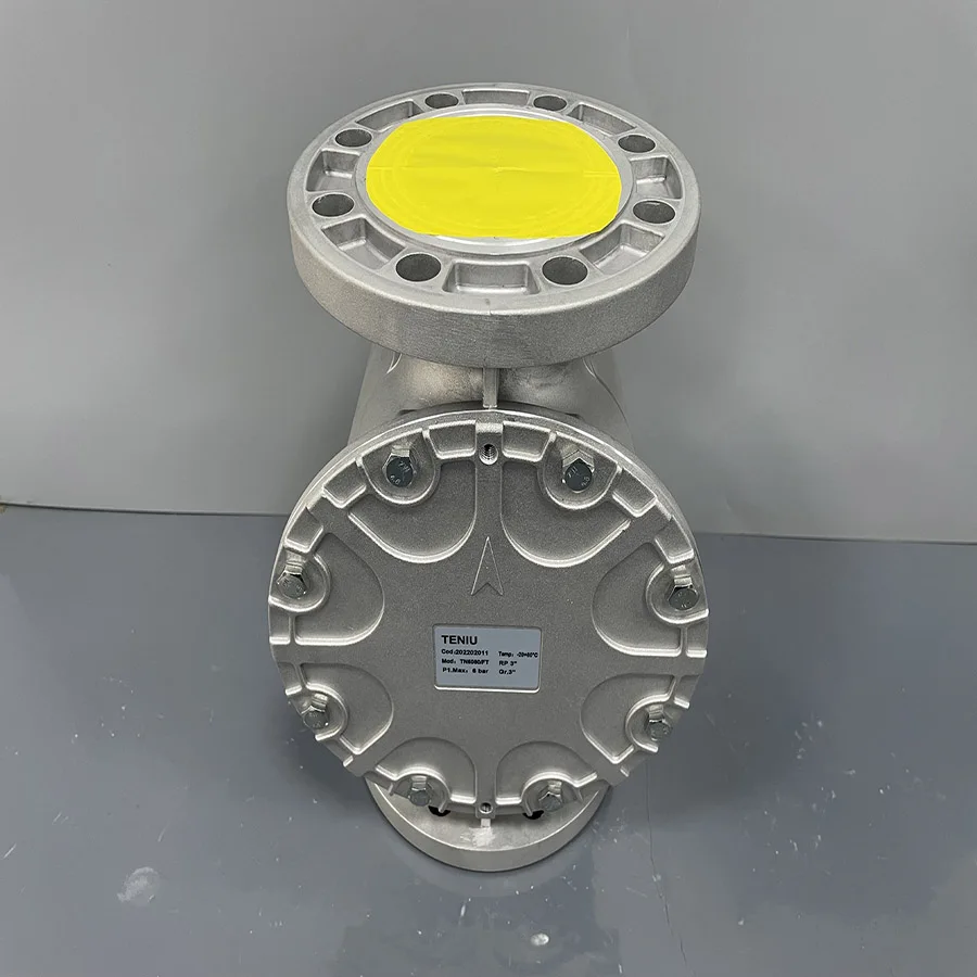 LPG Gas Filter for Gas Burner - DN80 DN65 - Reliable & Efficient