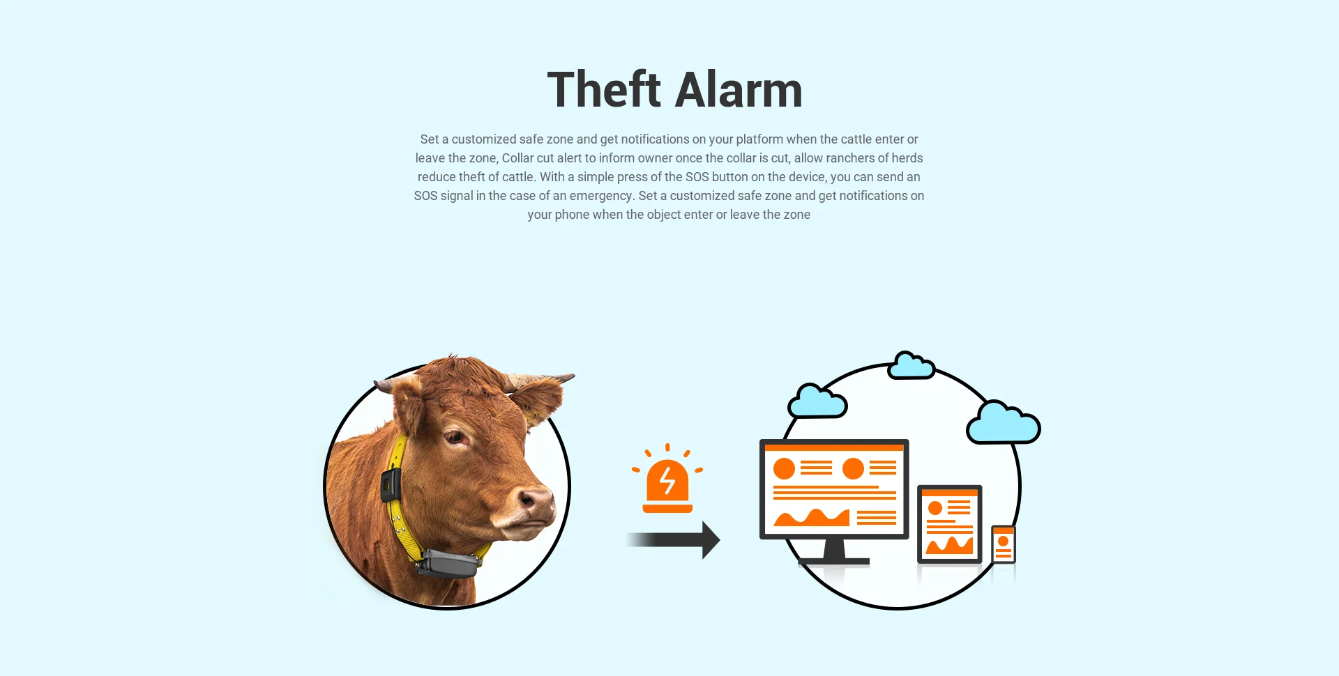 Lorawan Lora Module Device Cow Animal Cattle Gps Tracker Tracking Sensor Sensors - Buy Lorawan ...