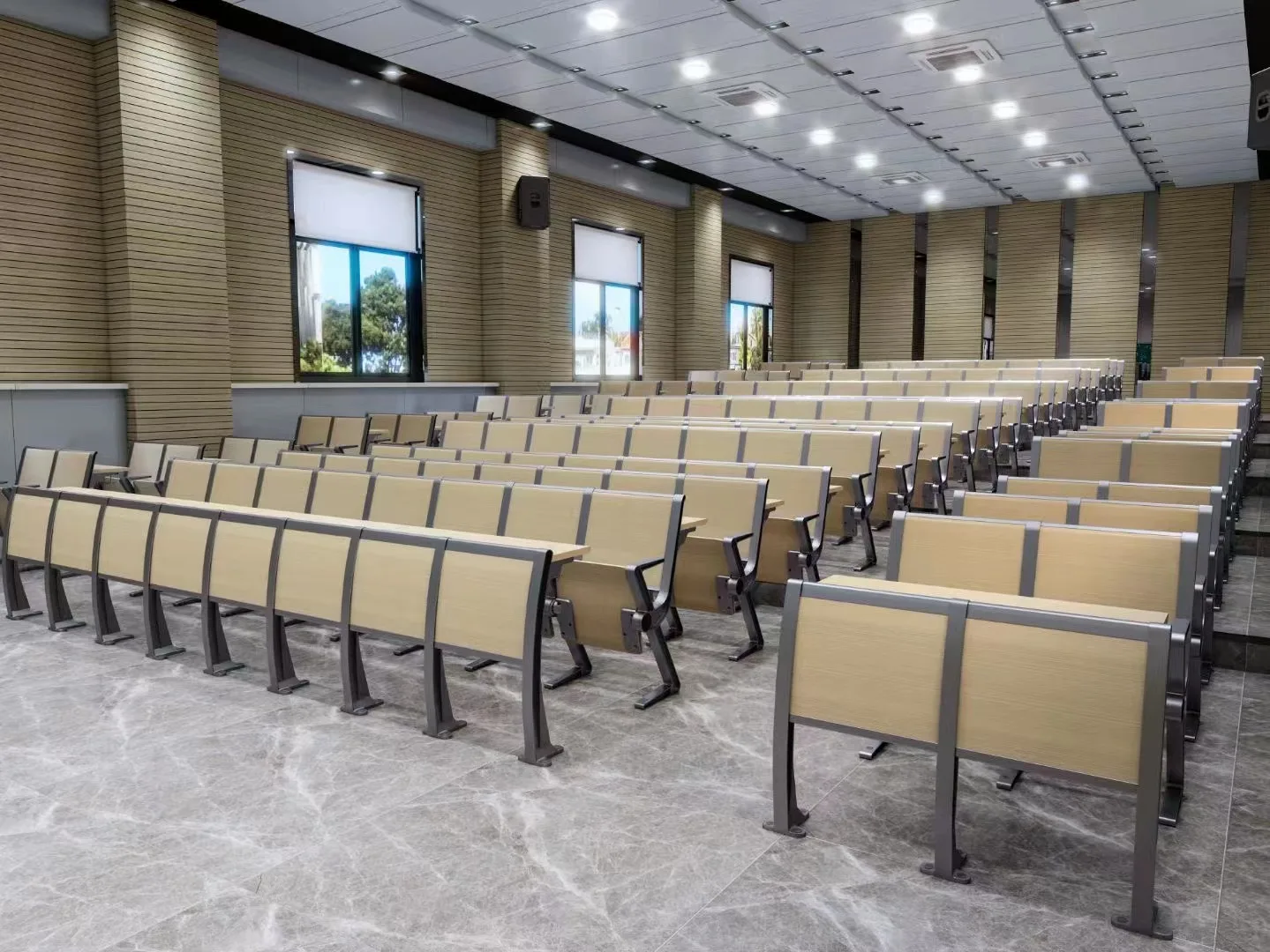 Amphitheater Lecture Hall Desk And Folding Or Stable Seat Module Fixed ...