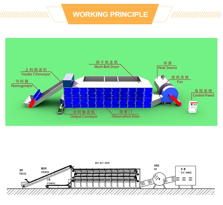 Cocoa Bean Cardamom Mesh Belt Dryer Machine - High Efficiency