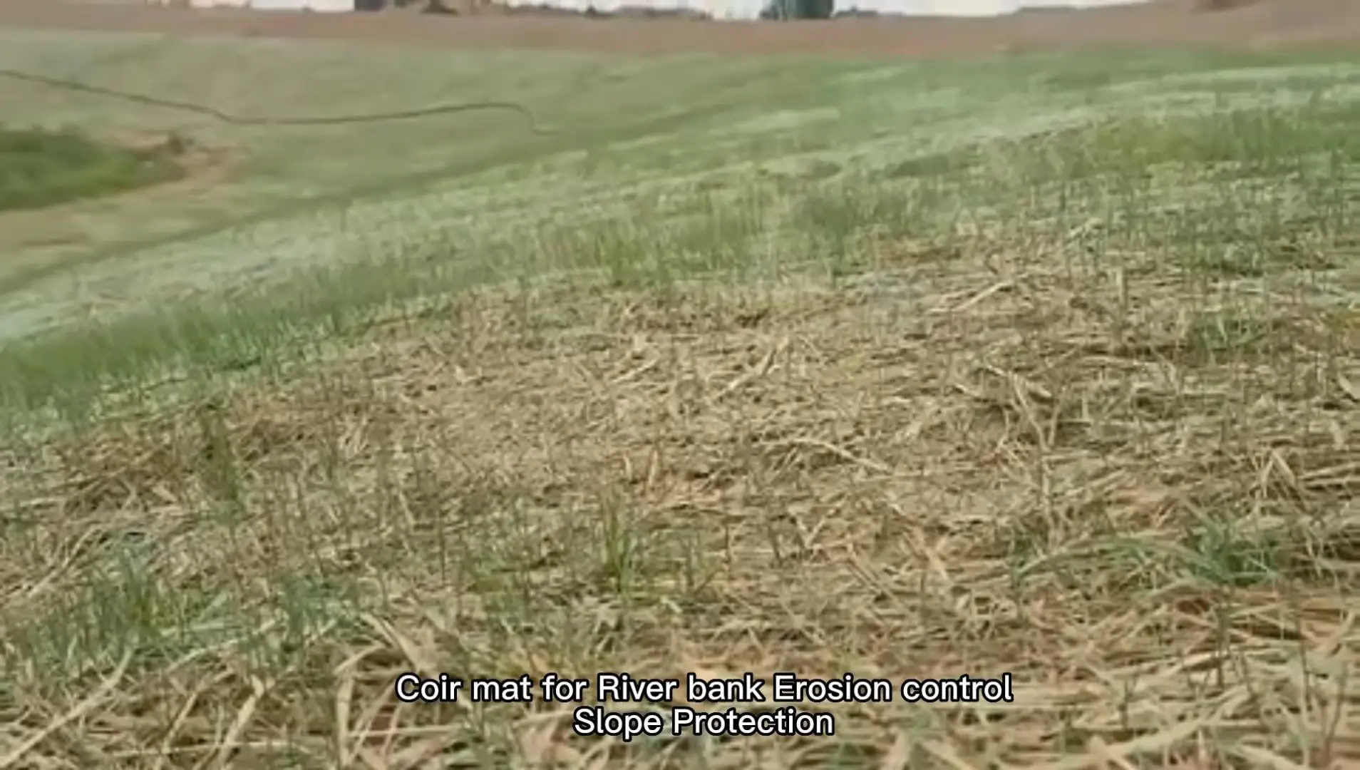 300g 350g Coconut Coir Matting for Erosion Control & Slope Protection