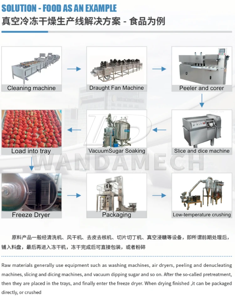 Industrial Stainless Steel 30kg Capacity Fruit Freeze Drying Machine ...