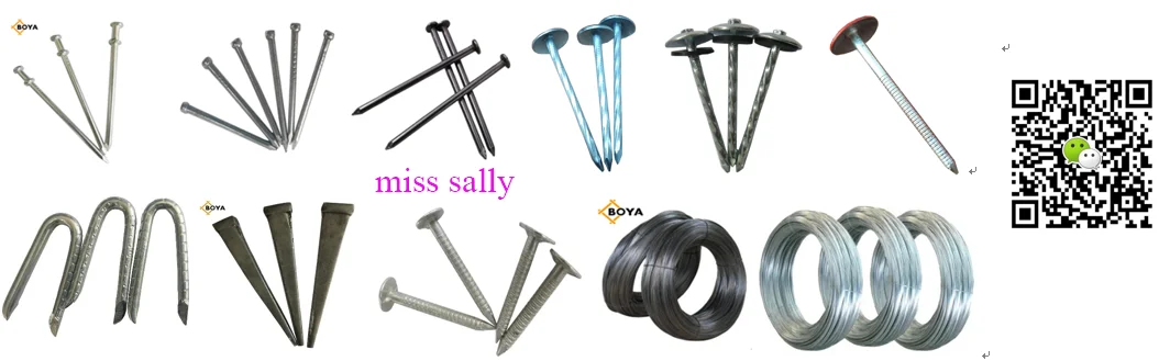 Electro Galvanized Iron Nails Common Nail Without Head Cheap Nails ...