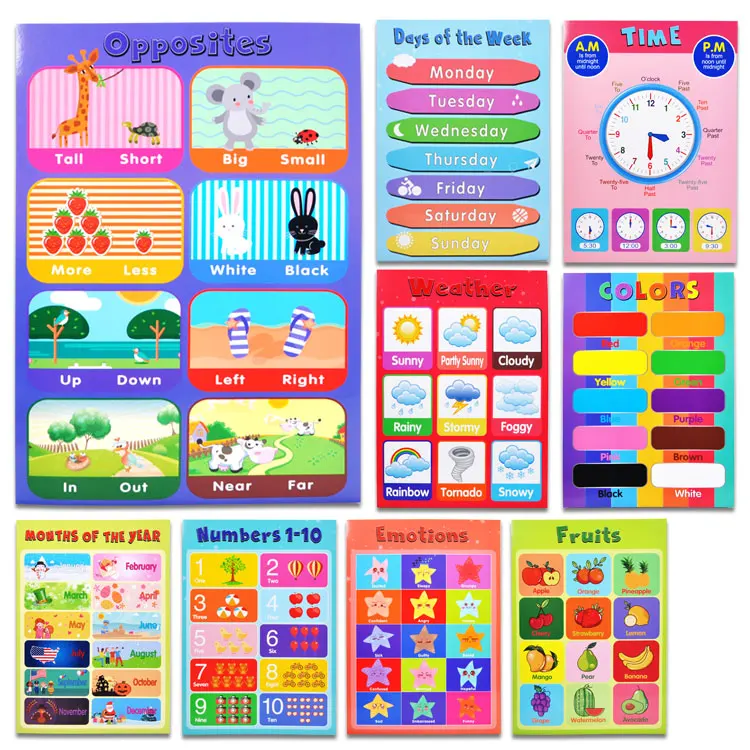 Custom Learning Alphabet Numbers Shapes Colors Chart Fully Laminated ...