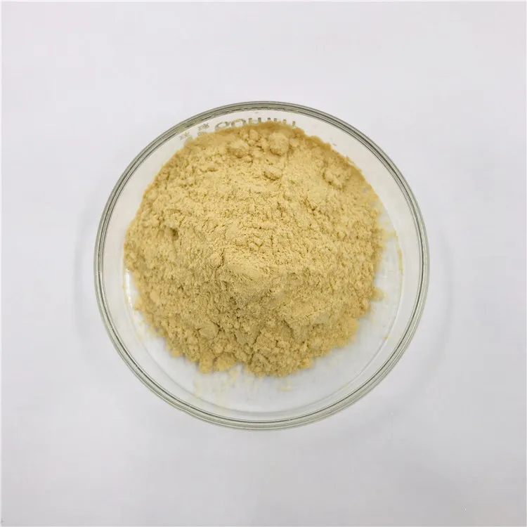 High Activity Alpha Amylase Enzyme - 100000u/g CAS 9000-90-2