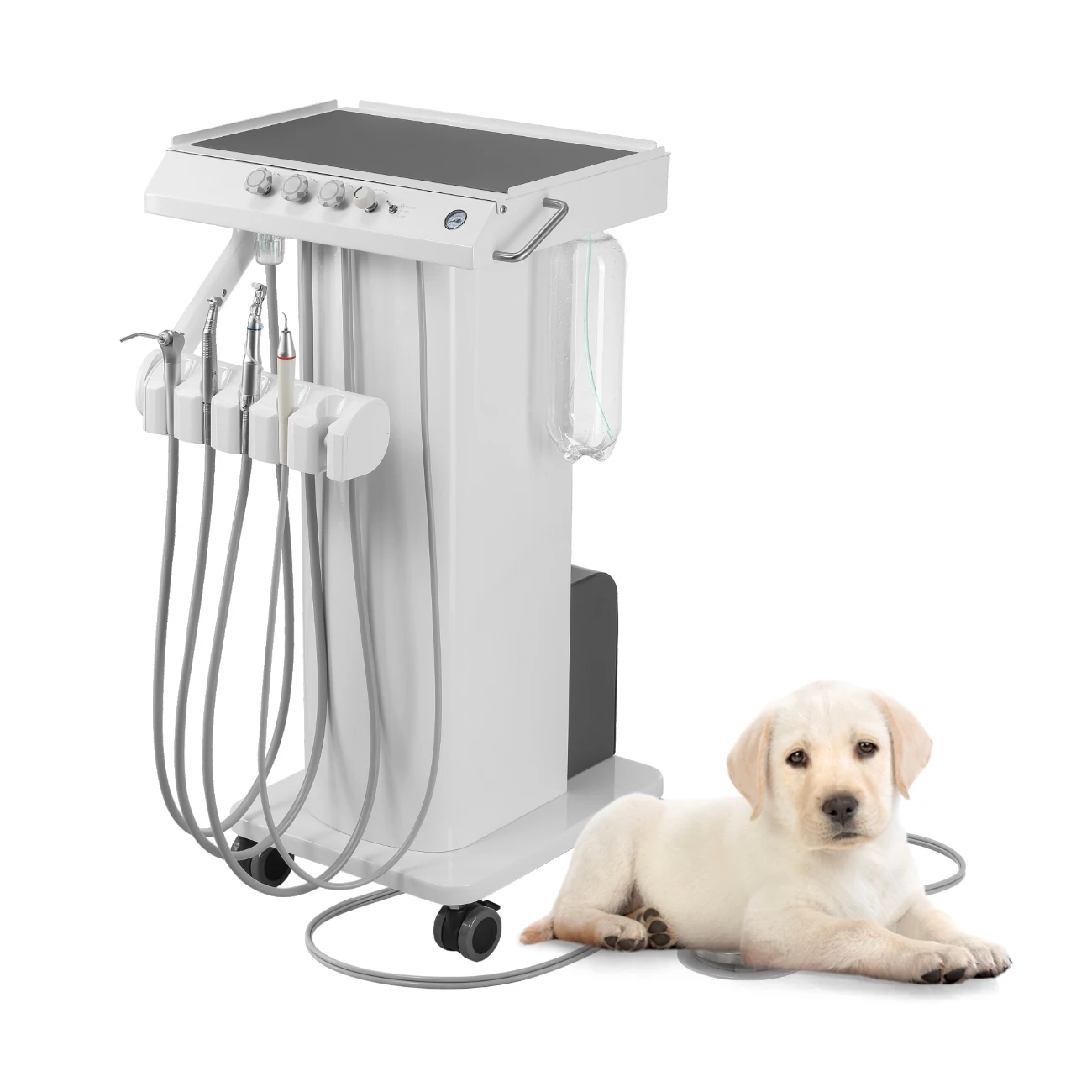 High efficient stable mobile cart design veterinary dental equipment ...
