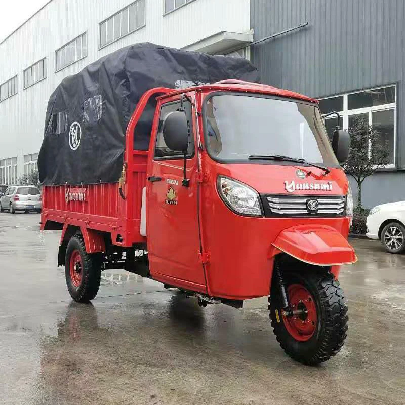 3 Wheel Motorcycle Gasoline Petrol Automatic Tricycle Enclosed Cargo 250cc Motorized Big Wheel ...