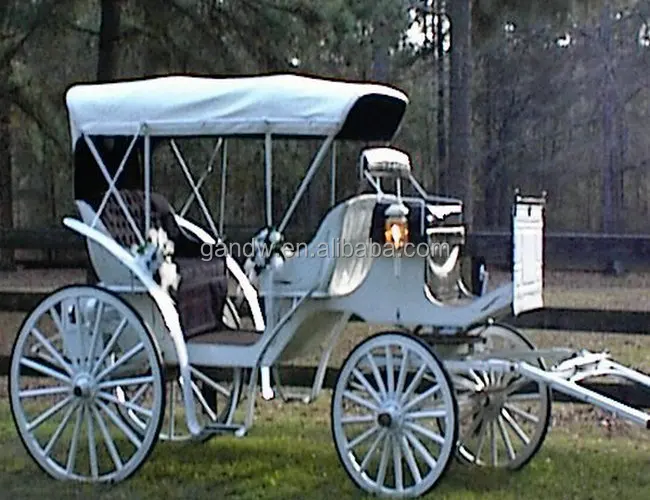 2025Elegant Vintage Victorian-Style Wedding& Sightseeing Electric ...