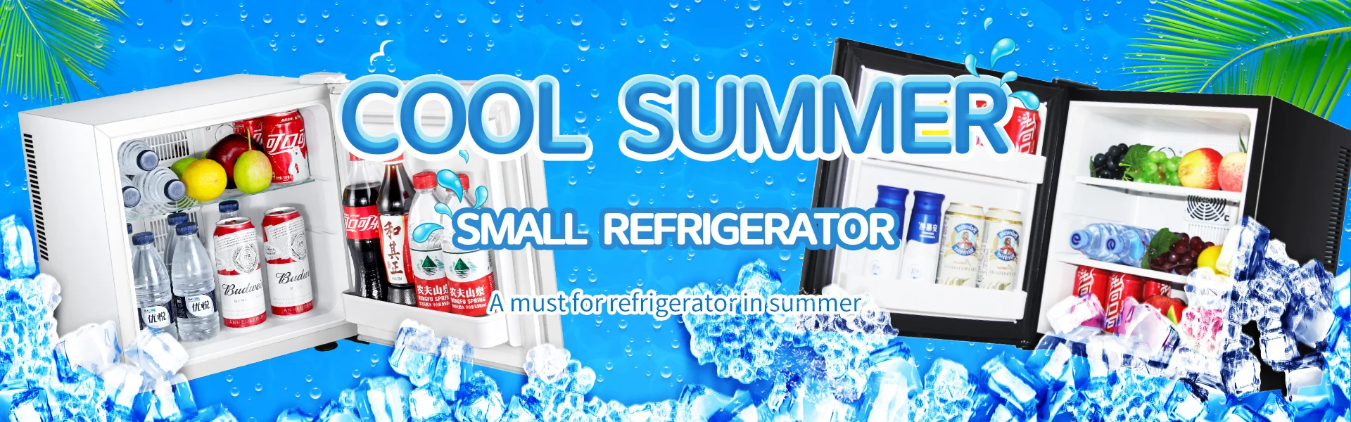Single Door Mini Fridge - Portable Thermoelectric Cooler