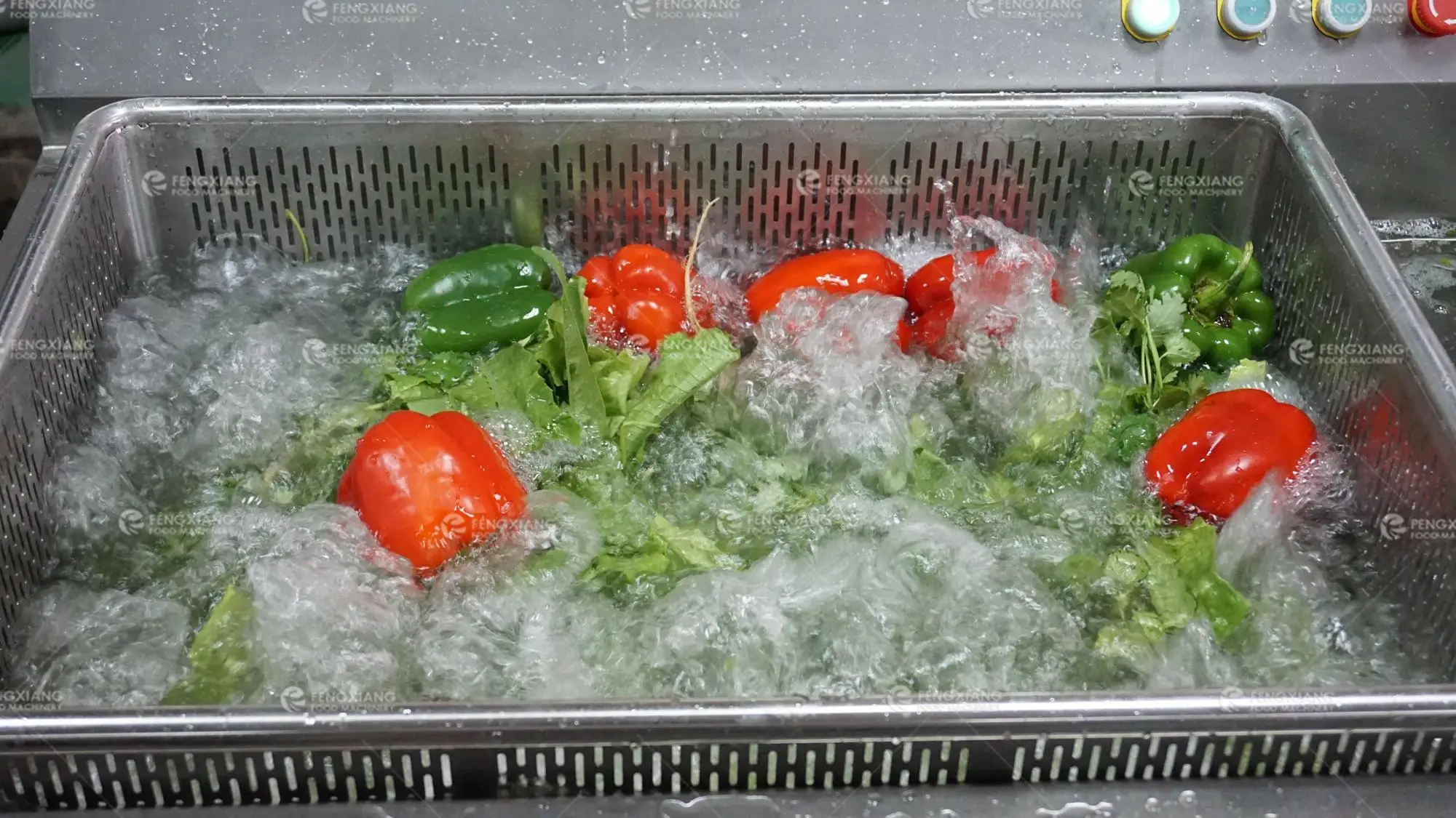 Industrial Food Washer - Efficient Vegetable & Fruit Cleaning