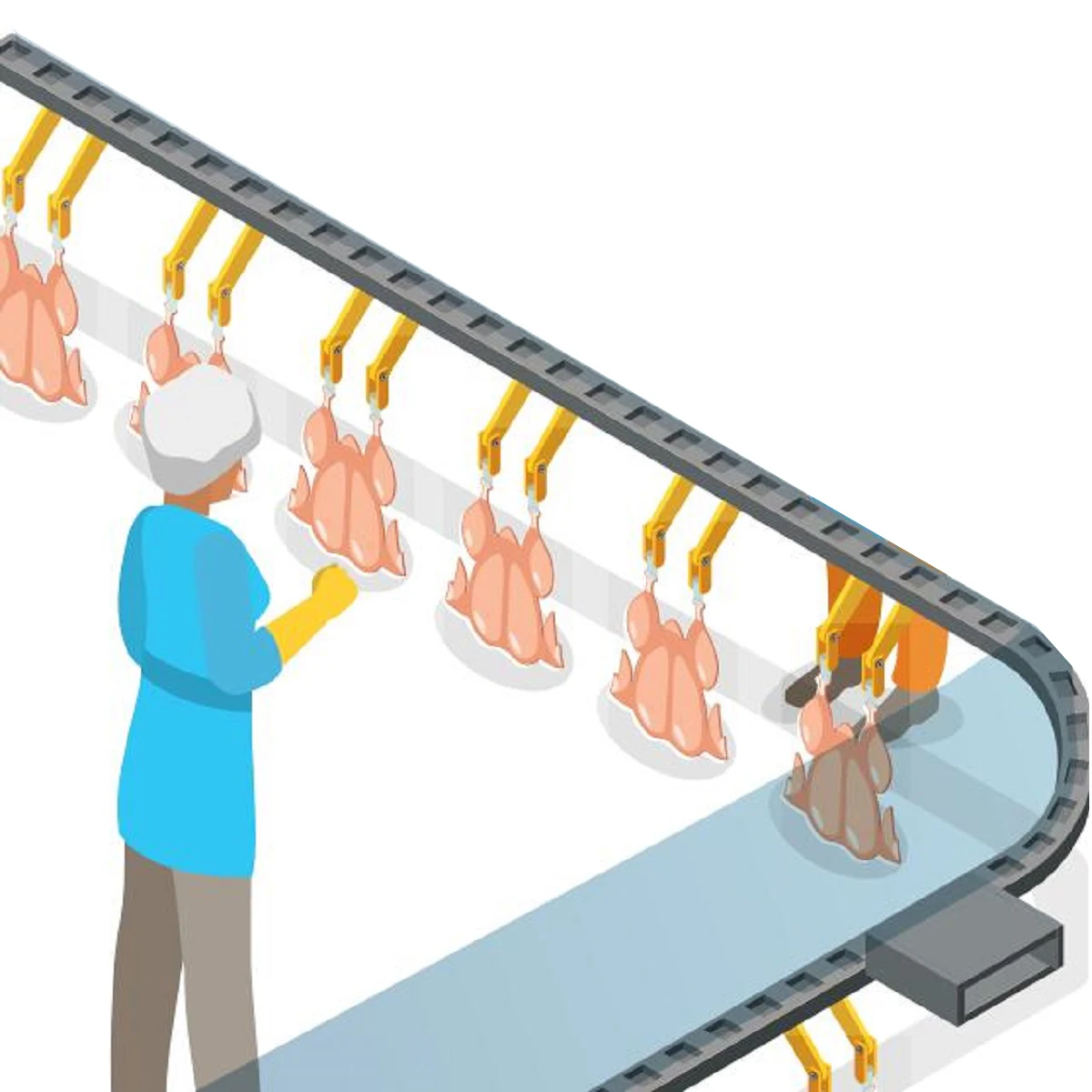 Tekaman Turnkey Poultry Processing Line 4000 Birds Per Hour - Buy ...