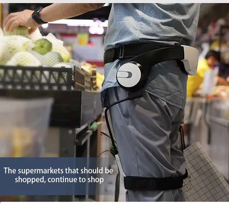 Auxiliary Legs Wearable Powered Exoskeleton Robot for Human Aid