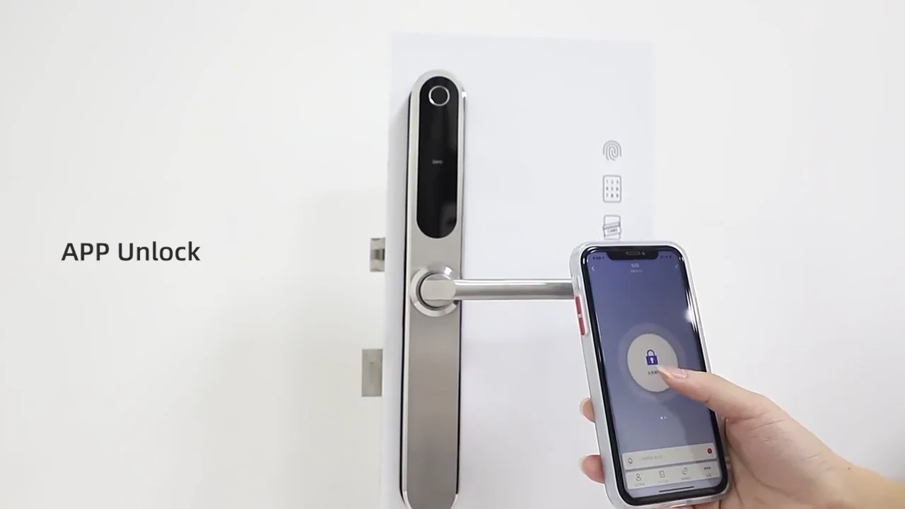 Liliwise Waterproof Ip66 Outdoor Fingerprint Smart Door Lock Tuya App ...