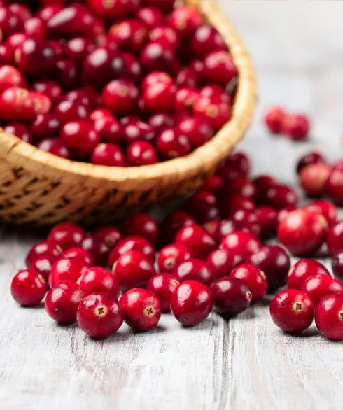 High Quality Water Soluble Cranberry Powder - Buy Cranberry Powder ...