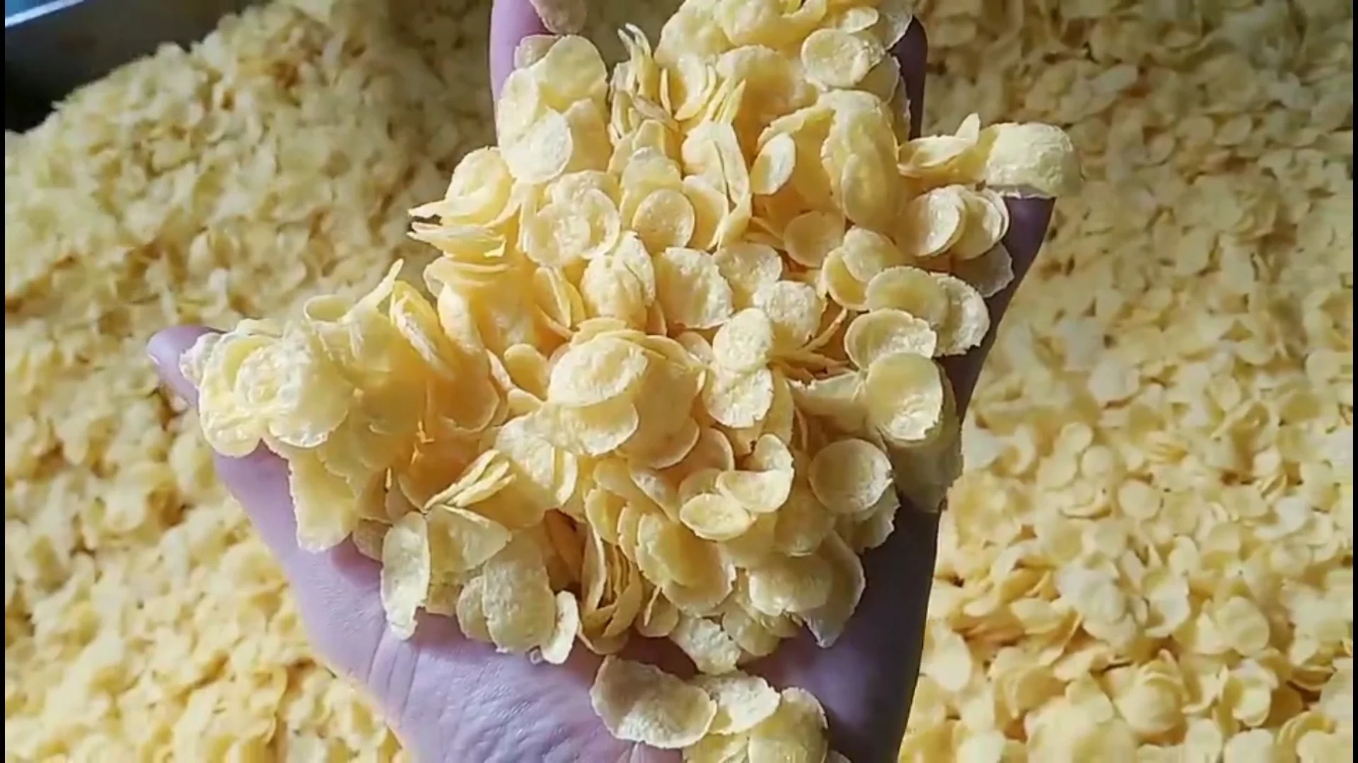 Industrial Corn Flakes Production Extruder Breakfast Cereal ...