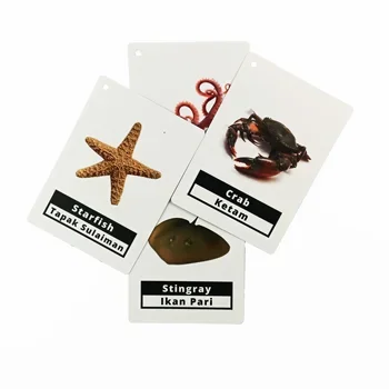 Custom Children Sea Animals Memory Flash Card Printing Educational for ...