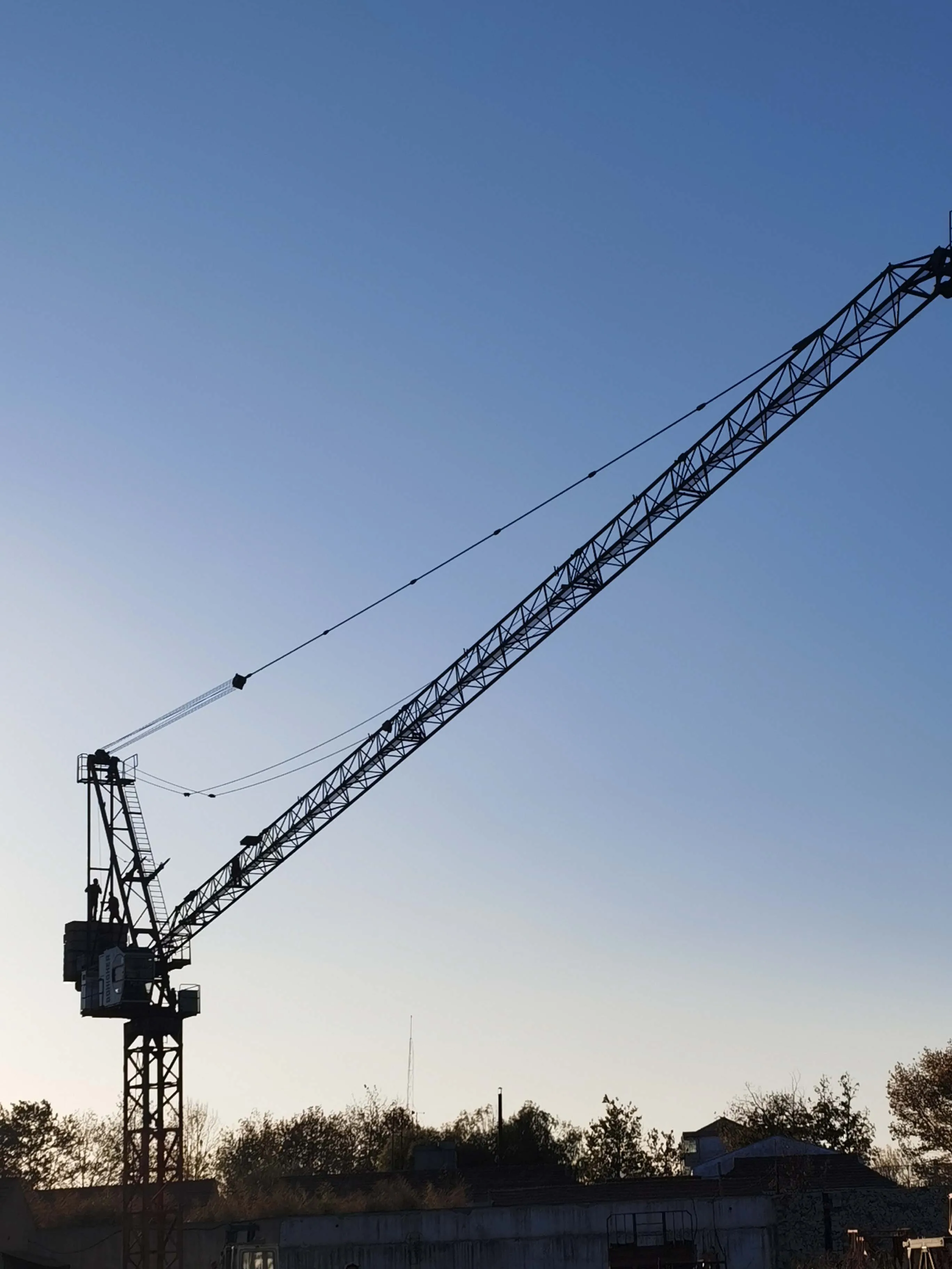 8T Construction Grua Torre Equipment Menara Derek Machine Swing Arm ...