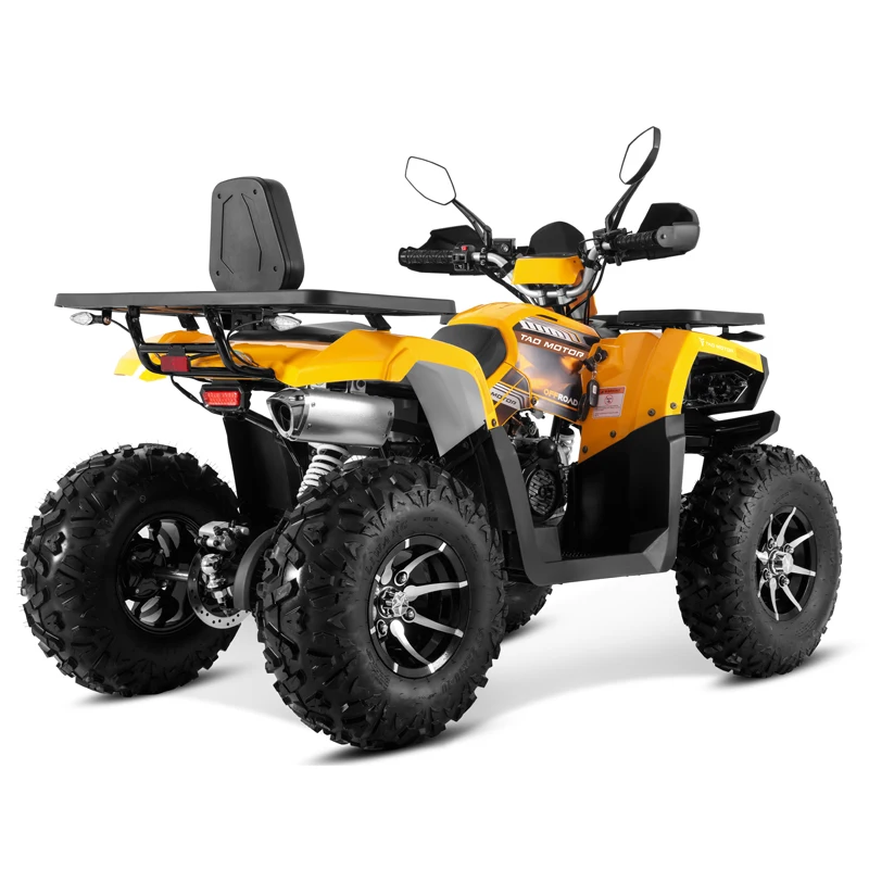 Tao Motor 2025 New Electric Start Chain Drive Automatic Quad Bike 4 ...