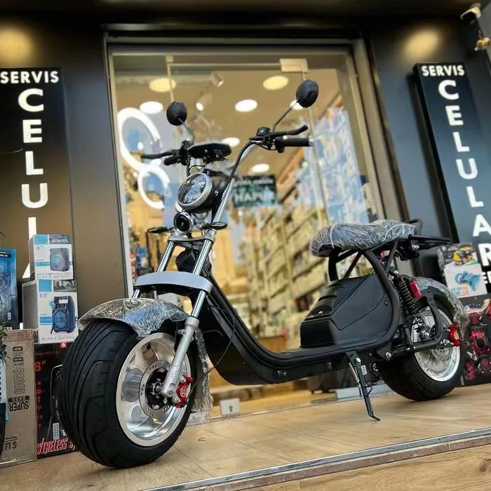 Moon Adult Fat Tire Electric Scooter 10 Inch Disc Brake Two-wheeled ...