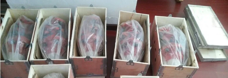 API Specs Wellhead Equipment Double Packing Cone Packed Polished Rod ...