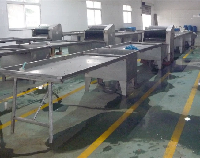 Industrial Intestine Cleaner Caseing Cleaning Machine Sheep Lamb ...