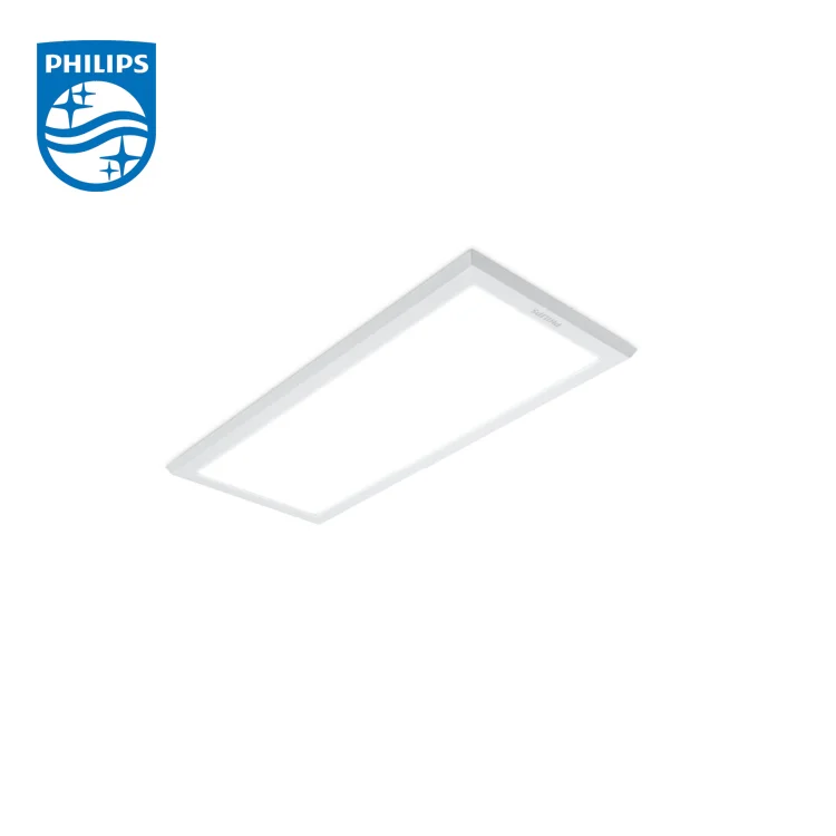 PHILIPS CR500C LED25/865 W26L60 PSU - Efficient Lighting