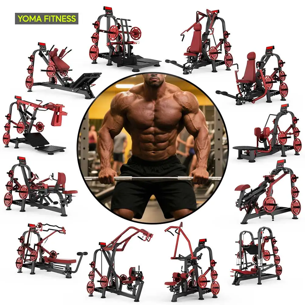 Muscle Building Machines - Commercial Fitness Solutions