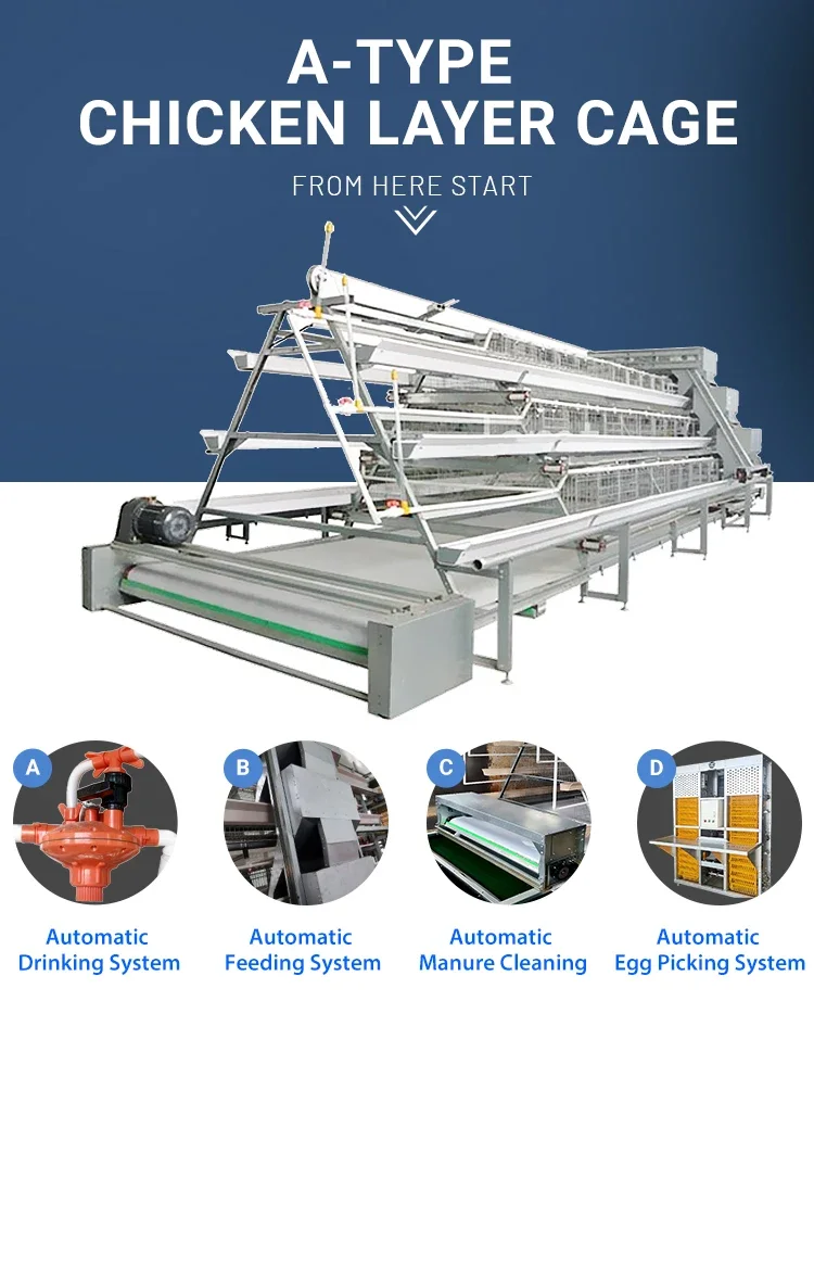 Poultry Farming Equipment A Type Layer Chicken Cage With Automatic ...