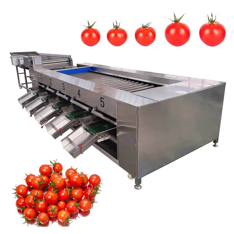Tomra 220V Vegetable Sorting Grading Machine for Drying Potatoes Fruits ...