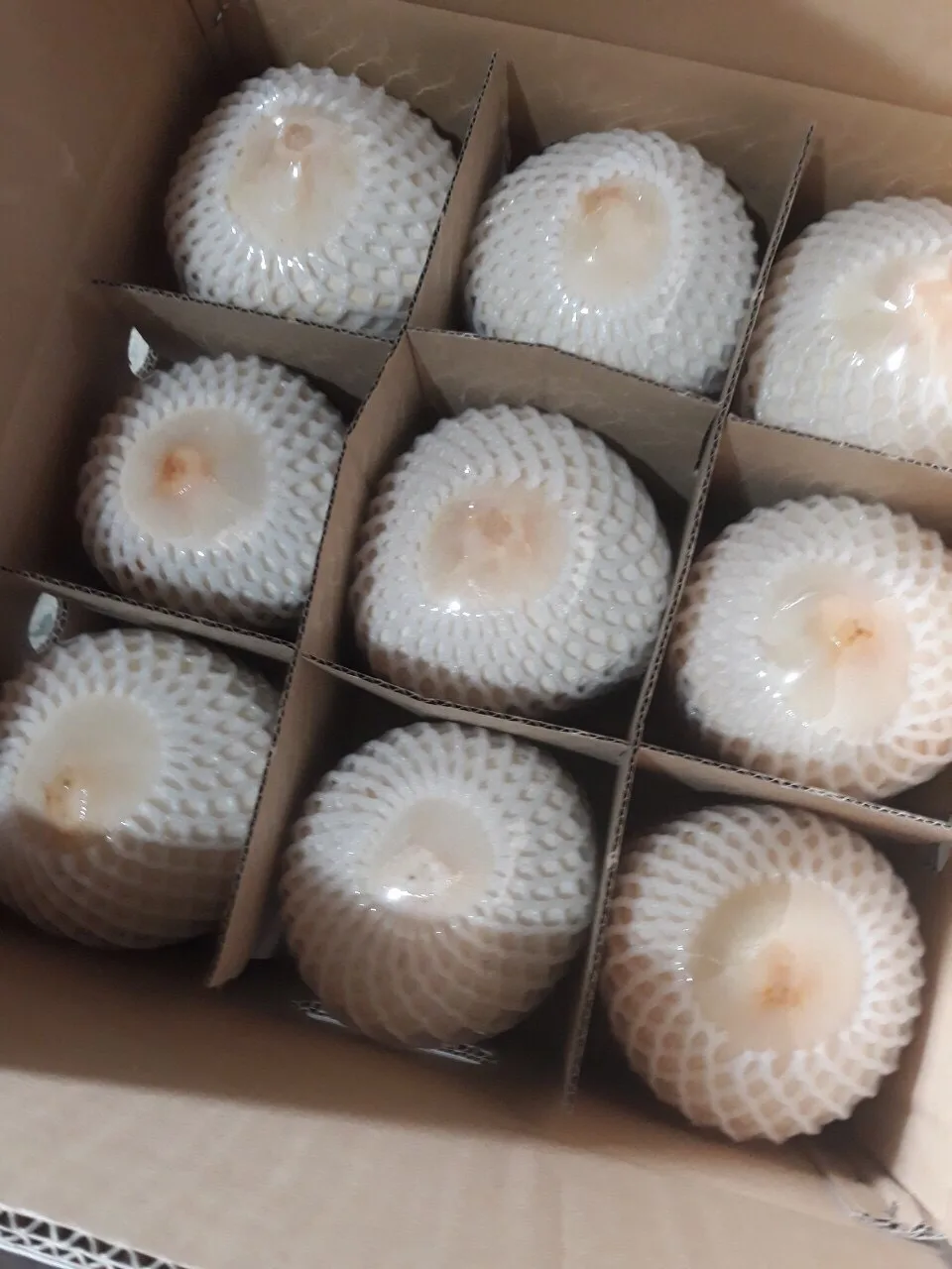 Fresh Coconut Cut Cones Shape/ Coconut Tender/ Green Young Coconut From ...