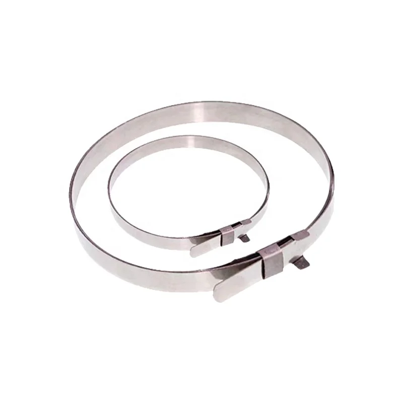 Universal Auto Drive Shaft CV Joint Boot Clamp Kit Stainless Steel CV ...