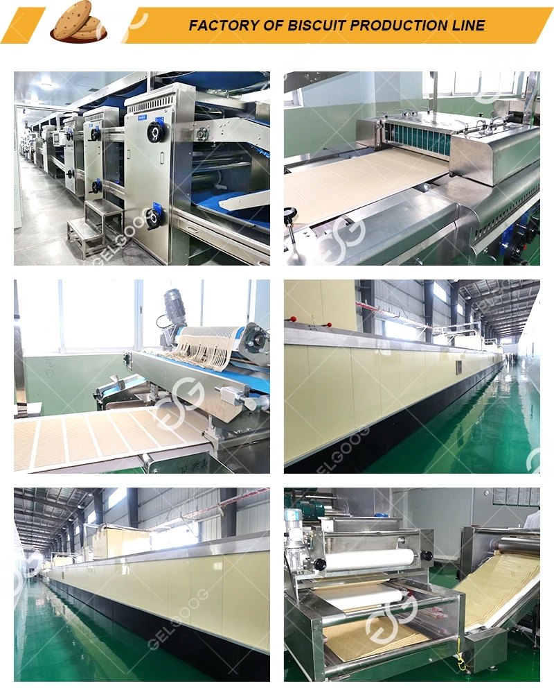 Small Scale Hard Biscuit Production Line Salty Biscuit Make Machine ...