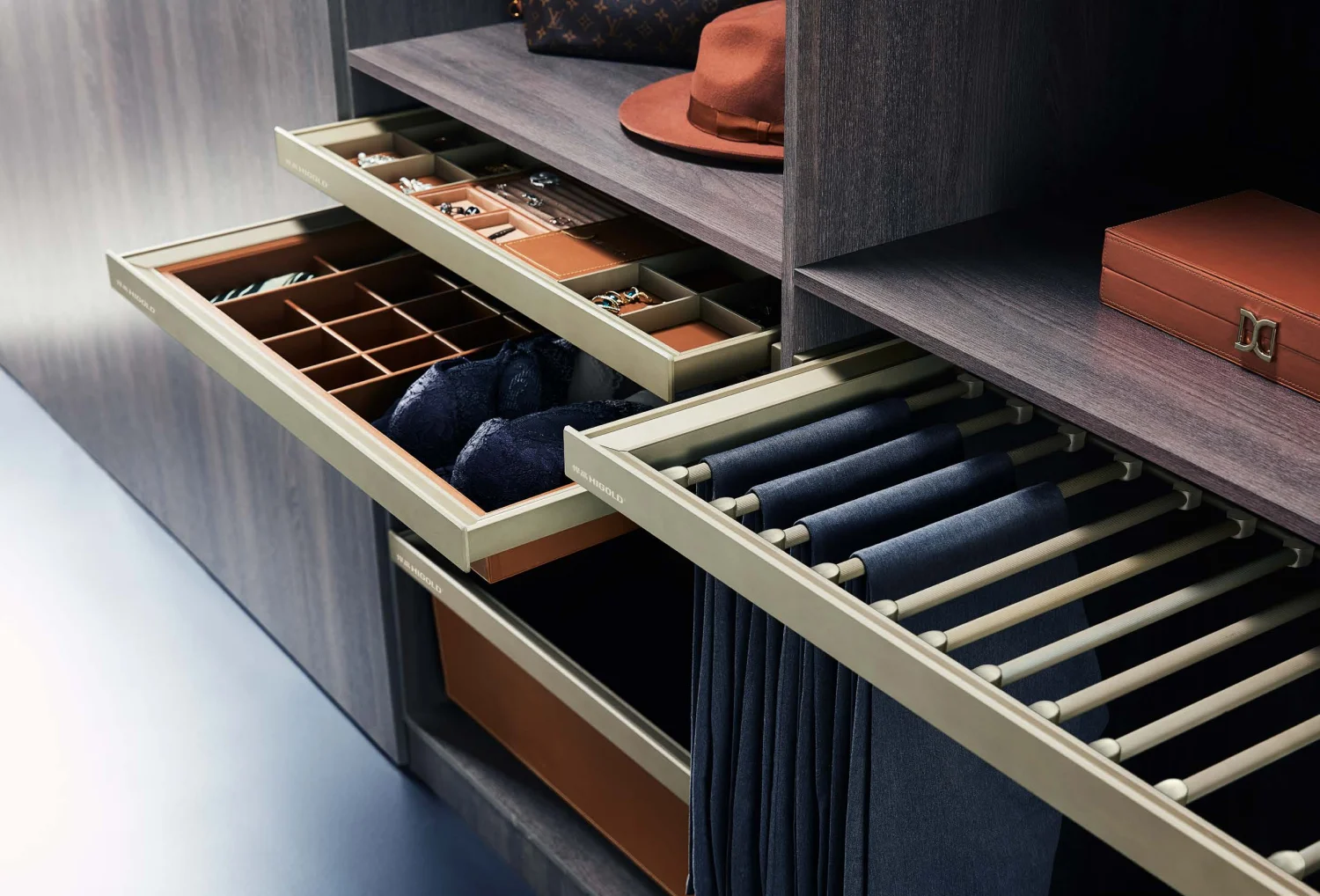 Luxury Modern Walk in Closet Cabinet - Stylish Storage