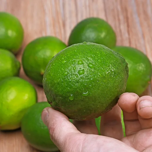 High Grade Fresh Natural Green Lime Juicy Lemon - Buy Green Lemon,Fresh ...