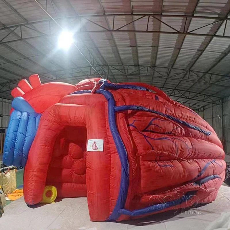 Realistic Inflatable Lungs - Educational Display Balloons