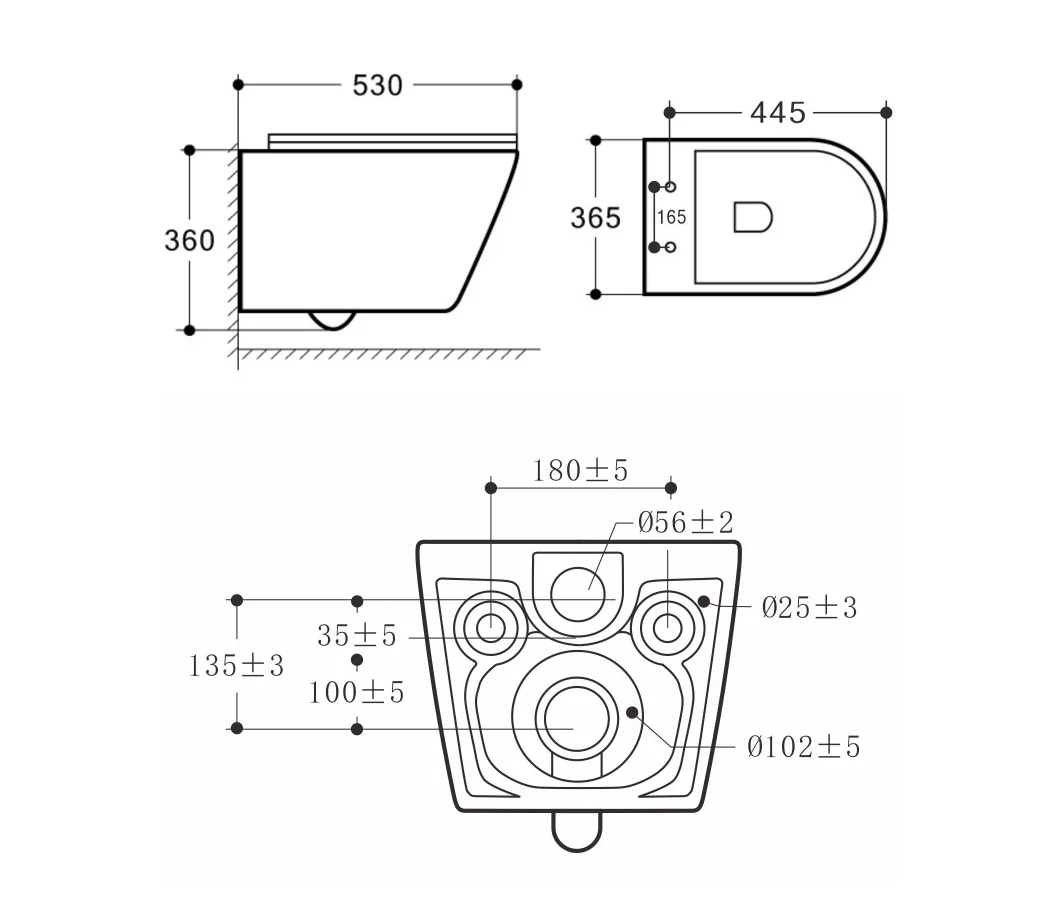 Cera Wall Hung Toilet Seat - Stylish & Functional