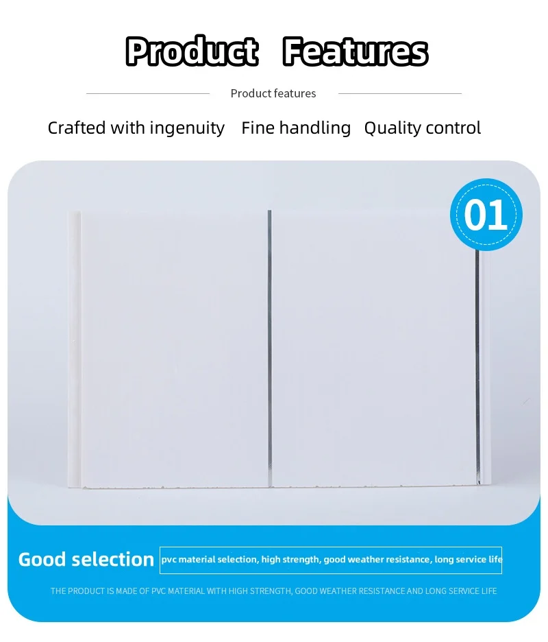 Interior Ceiling Panels - Durable, Stylish, and Cost-effective