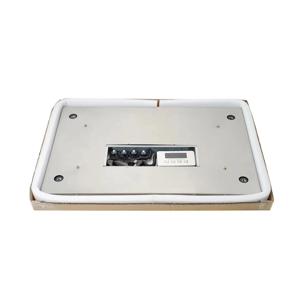 Stainless Steel Weighing Scales - Precision and Durability