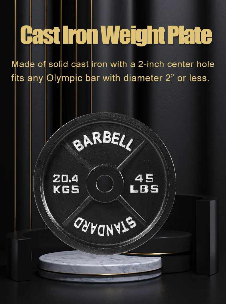 Zjfit Fitness Cast Iron Standard Silver Black Weight Plates Pounds ...