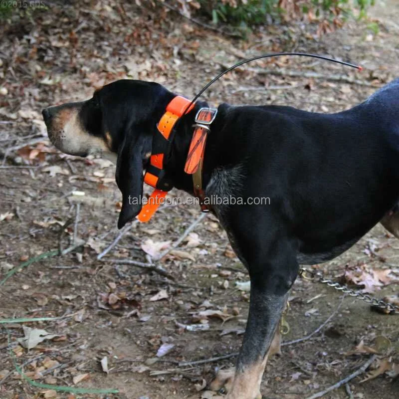 Vhf Antenna Gps Dog Tracking Collar For T5 Tt10 Tt15 T5mini Dc30 Dc40 ...