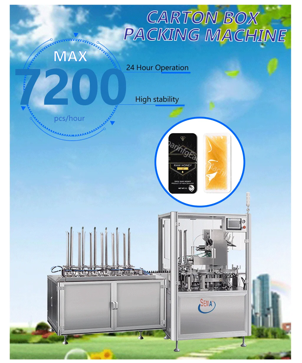 Automatic Easy Open Sachet Counting Carton Box Packing Machine