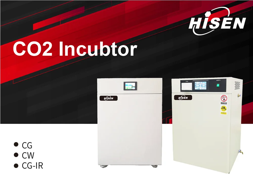 Hisen Constant-temperature Incubator Co2 For Tissue Culture Laboratory ...