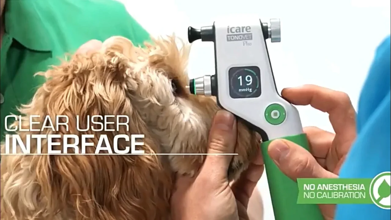 Tv011 Auto Balance Color Display Tonovet Plus Vet Tonometer For Pet Cat ...