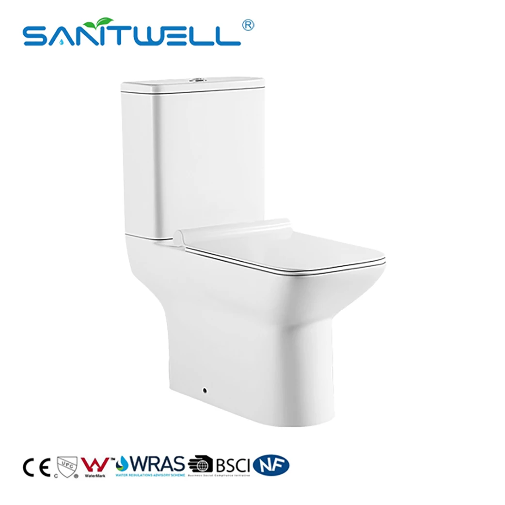 Sanitary ware floor mounted P trap two piece rimless flush wc water ...