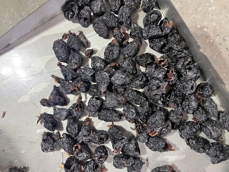 Automatic Dried Prune Pitting Machine - High Efficiency